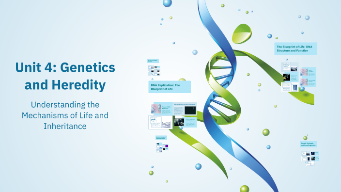Unit 4: Genetics and Heredity by Olivia Fletcher on Prezi