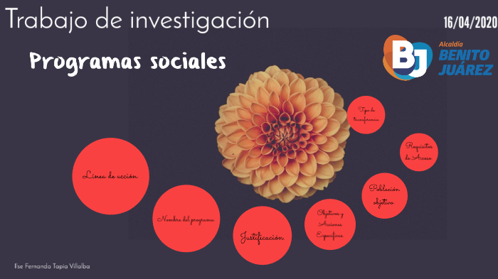 Programas sociales by Ilse Tapia on Prezi