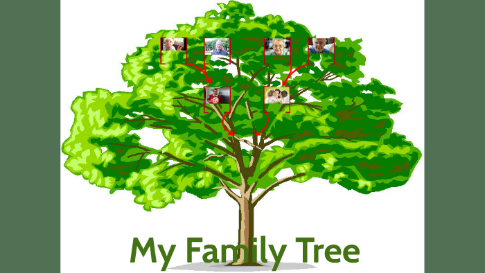 My Family Tree by Brendan Plunkett on Prezi