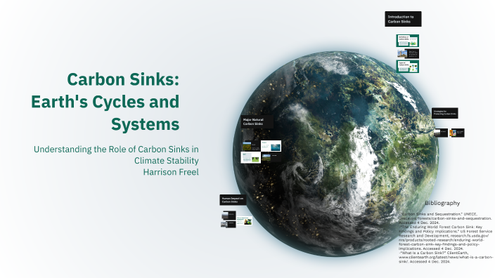 Carbon Sinks: Earth's Cycles and Systems by Harrison Freel on Prezi