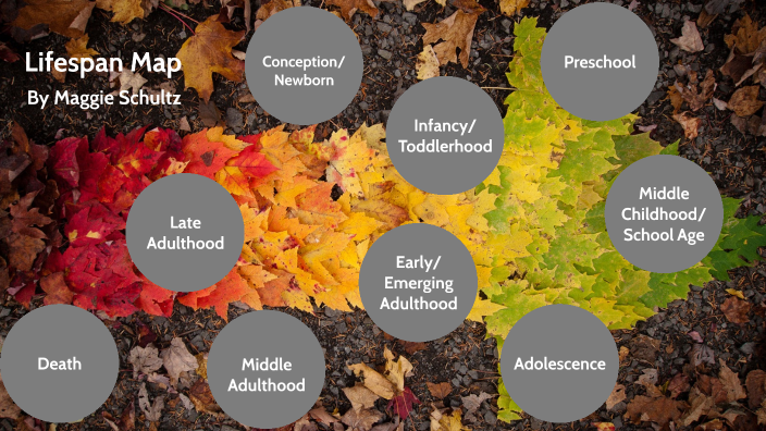 Lifespan Map by Magdalyn Schultz on Prezi