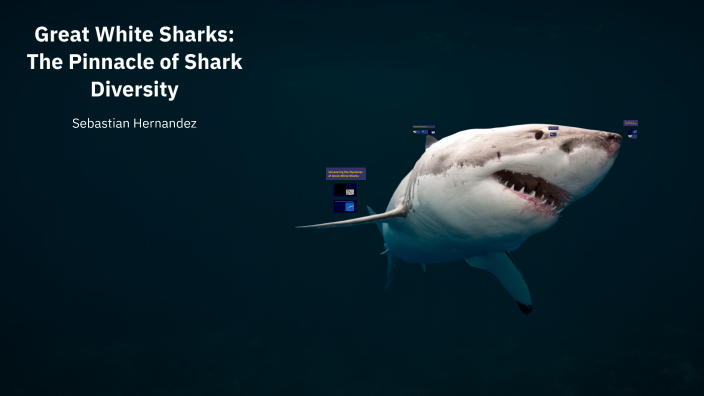 Great White Sharks: The Pinnacle of Shark Diversity by Sebastian ...