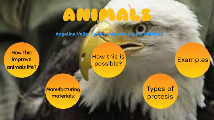 Animals by Cohen Maguiña on Prezi