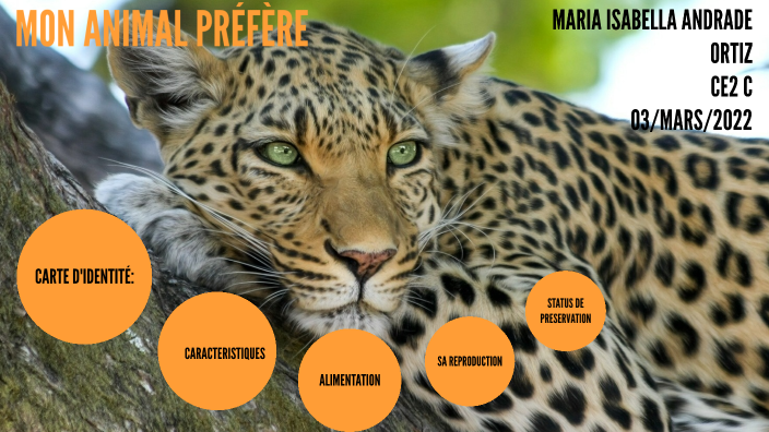 MON ANIMAL PRÉFÉRE by Delia Ortiz on Prezi