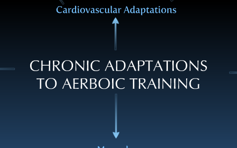 Chronic Adaptations to Aerobic Training by Adam Barto on Prezi