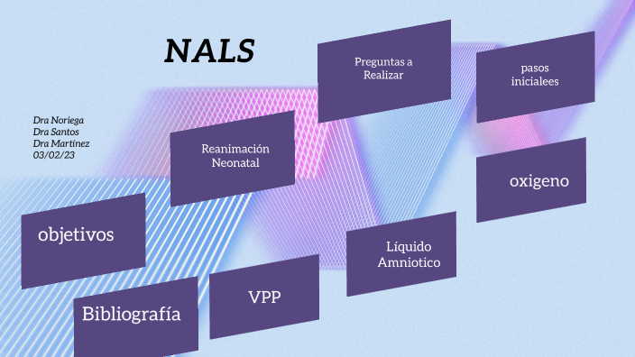 NALS by Rosi Martínez on Prezi