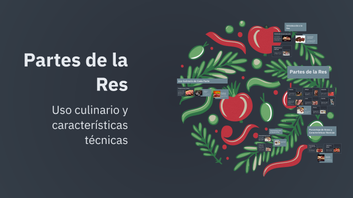 Partes de la Res by Leyla Ignacio on Prezi
