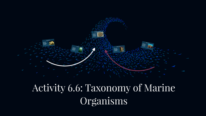 Activity 6.6: Taxonomy of Marine Organisms by Amy Antos on Prezi