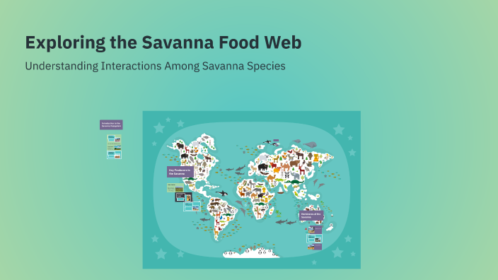 Exploring the Savanna Food Web by Kael Sabaiz on Prezi