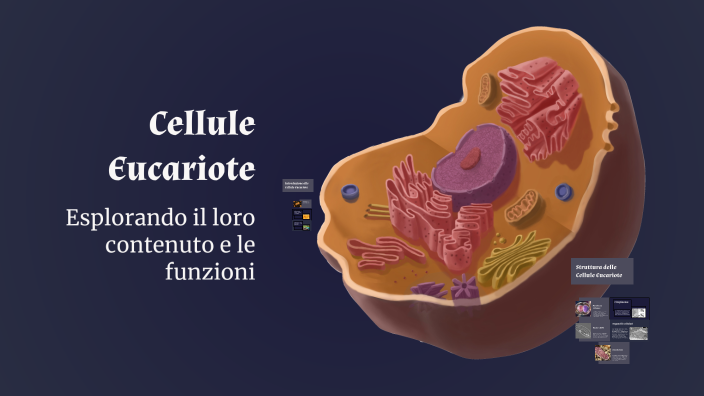 Cellule Eucariote by salvatore isabella on Prezi