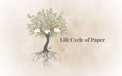 Life Cycle of Paper by Mary Ellen Buxton