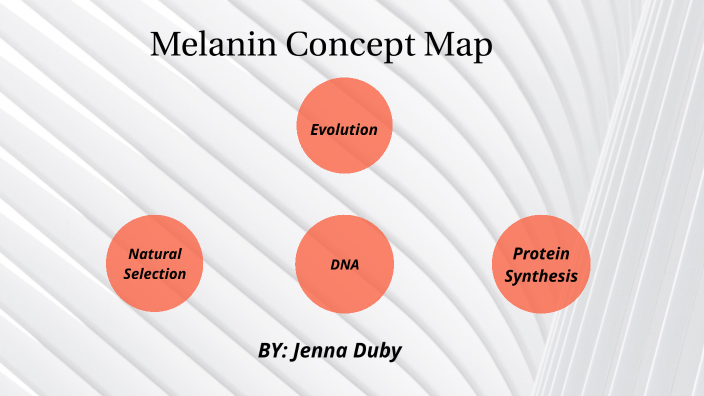 melanin concept map by jenna duby on Prezi