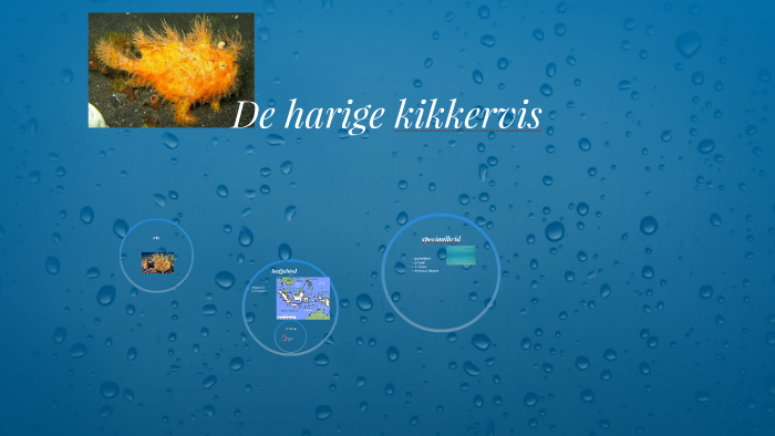 De harige kikkervis by Dionaissa Langbeen on Prezi