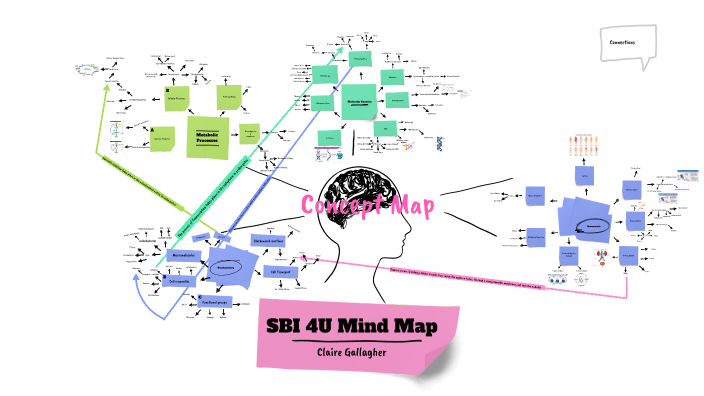Claire Gallagher - SBI 4U Mind Map Culminating by claire gallagher on Prezi