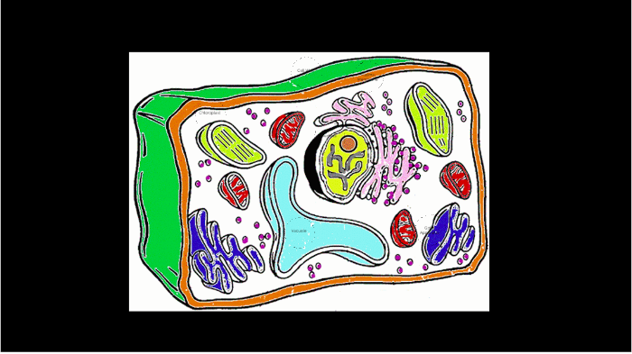 Cell Songs by holden Finley on Prezi