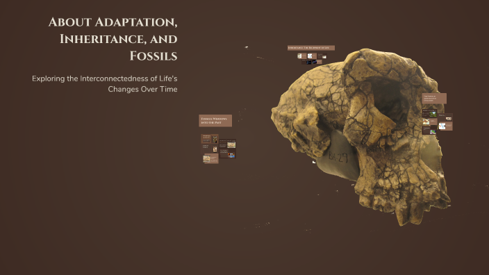 About Adaptation, Inheritance, and Fossils by on Prezi