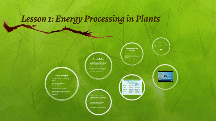 Lesson 1: Energy Processing in Plants by Hope Graham on Prezi