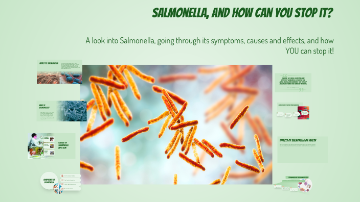 Understanding Salmonella: Symptoms, Causes, and Effects by Abhay ...