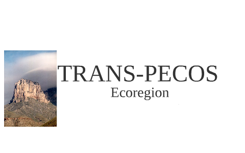 Trans-Pecos Ecoregion by Ashley Lininger on Prezi