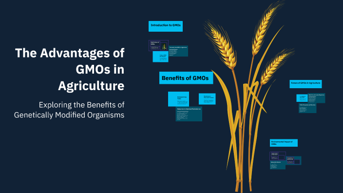 The Advantages of GMOs in Agriculture by Trey Ditchen on Prezi