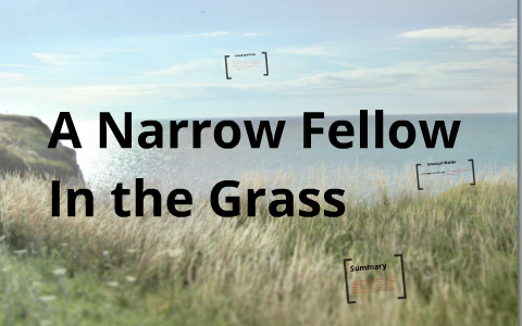 A Narrow Fellow in the Grass (Correct!) by maddy allen on Prezi