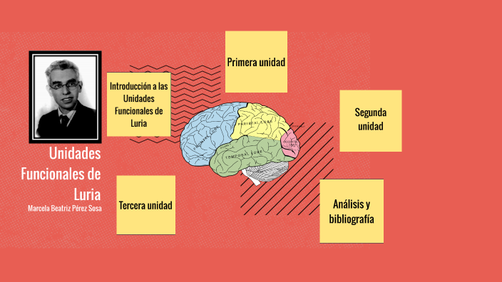 Unidades Funcionales de Luria by MARCELA BEATRIZ PEREZ SOSA on Prezi