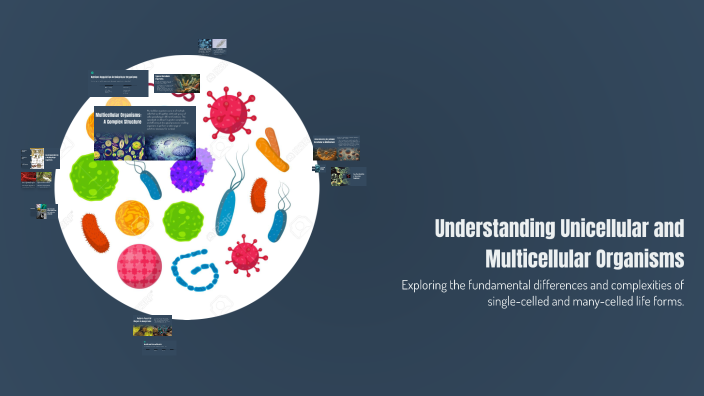 Understanding Unicellular and Multicellular Organisms by on Prezi