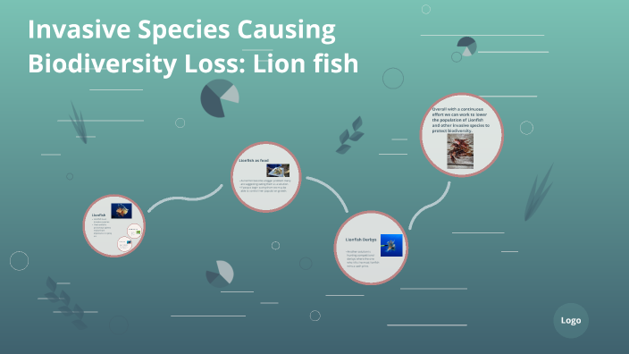 Invasive Species Causing Biodiversity Loss: Lion fish by Dallas Kielty ...