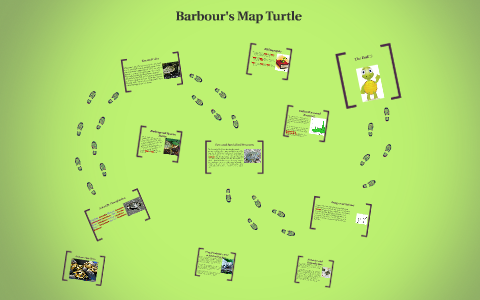 Barbour's Map Turtle by Ashley Watts on Prezi