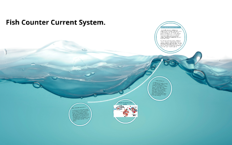 Fish Counter Current System. by bailey wilks on Prezi