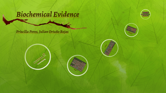 Biochemical Evidence by Julian Ortuno on Prezi