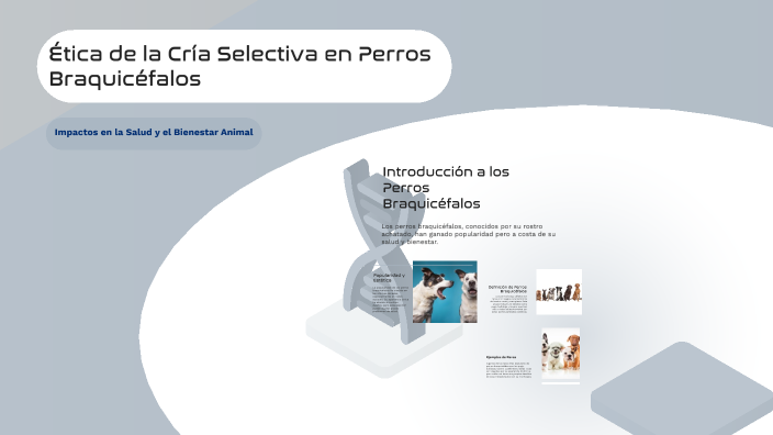 Cría selectiva. La ética de la reproducción de perros braquicéfalos by ...