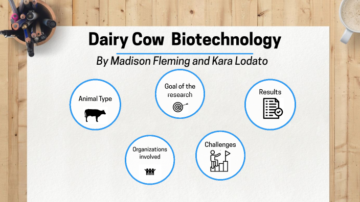 Dairy Cow Biotechnology by Madison Fleming on Prezi