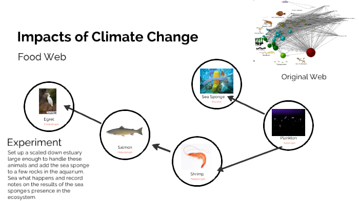 Impacts of Climate Change Food Web by 21NicholasJ Gartner on Prezi