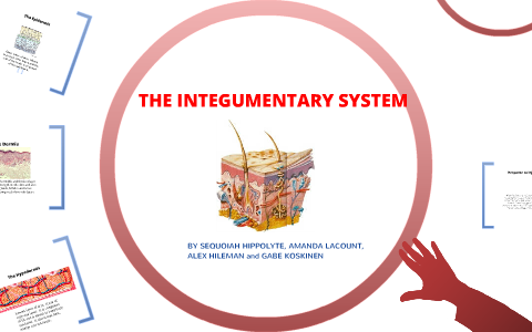 Integ. system by Gabe Koskinen on Prezi