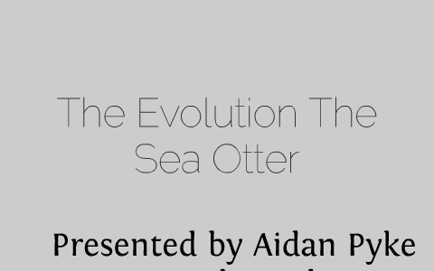 The evolution and future evolution of the sea otter by Aidan Pyke
