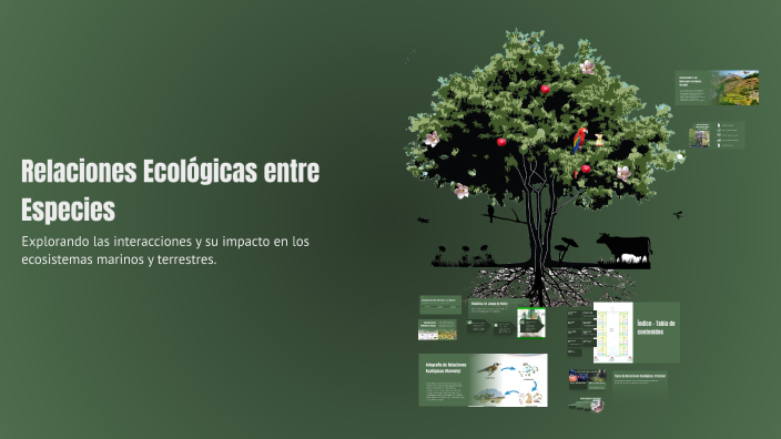 Relaciones Ecológicas entre Especies by YRLMike on Prezi