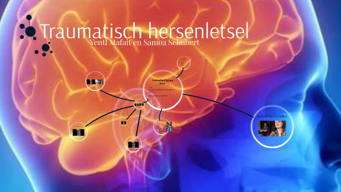 Traumatisch hersenletsel by yentl mafait on Prezi