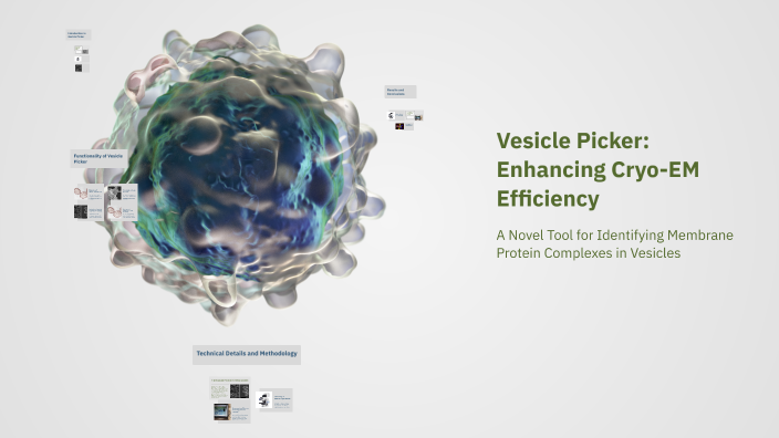 Vesicle Picker: Enhancing Cryo-EM Efficiency by Kshitiz Meena on Prezi