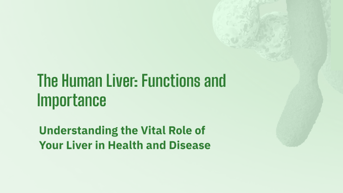 The Human Liver: Functions and Importance by Marriana Gordon on Prezi