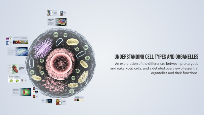 Understanding Cell Types and Organelles by John Lui on Prezi