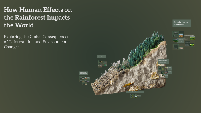 How Human Effects on the Rainforest Impacts the World by Isak Shubeli ...