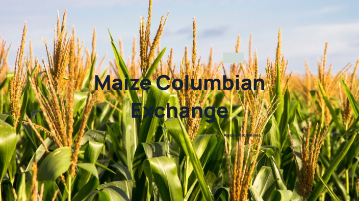 Maize Columbian Exchange by Alessandro Salinas on Prezi