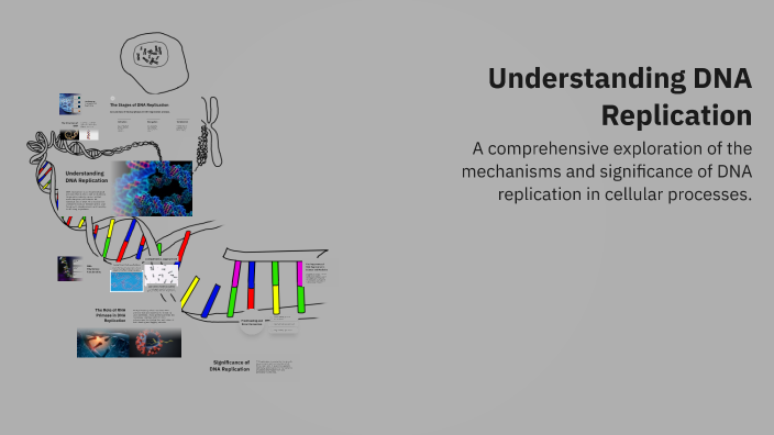 Understanding DNA Replication by John Lee Deniña on Prezi