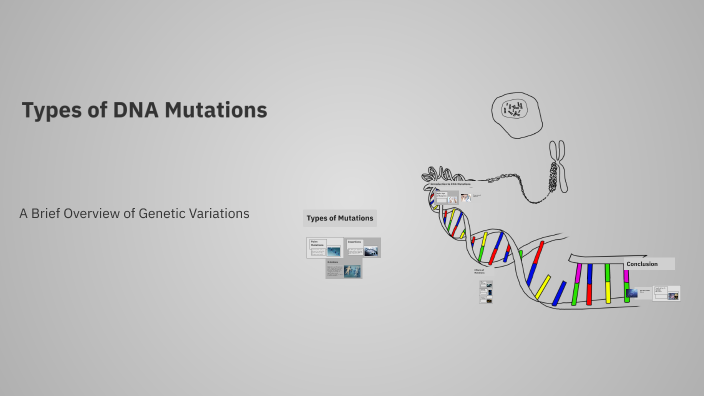 Types of DNA Mutations by Xhoel Aliaj on Prezi