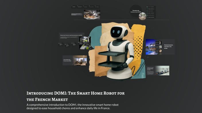 Introducing DOMI: The Smart Home Robot for the French Market by Achraf ...