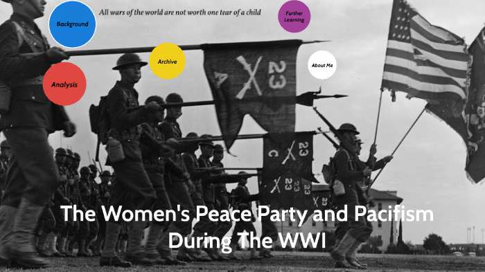 The Women's Peace Party and Pacifism During The WWI by Hakob ...