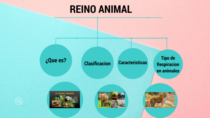 REINO ANIMAL by Jenny Margoth Leon Cocha on Prezi