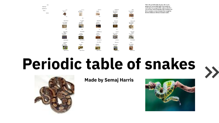 Periodic table of snakes by Semaj Harris on Prezi
