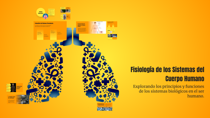 Fisiología de los Sistemas del Cuerpo Humano by Carmen Fernandez E on Prezi